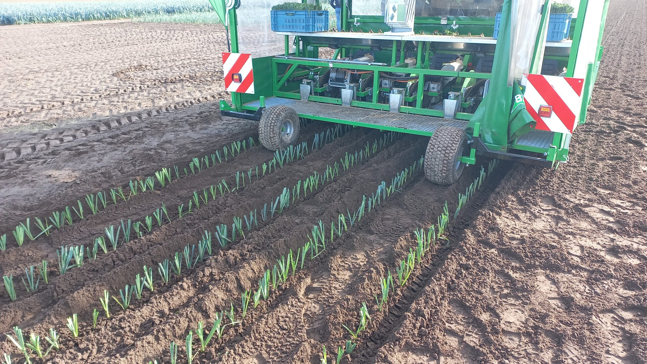 Planting machines - Basrijs