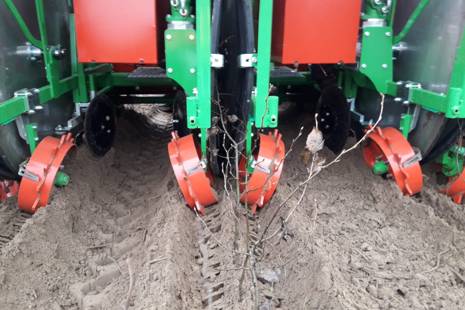 Planting machines - Basrijs