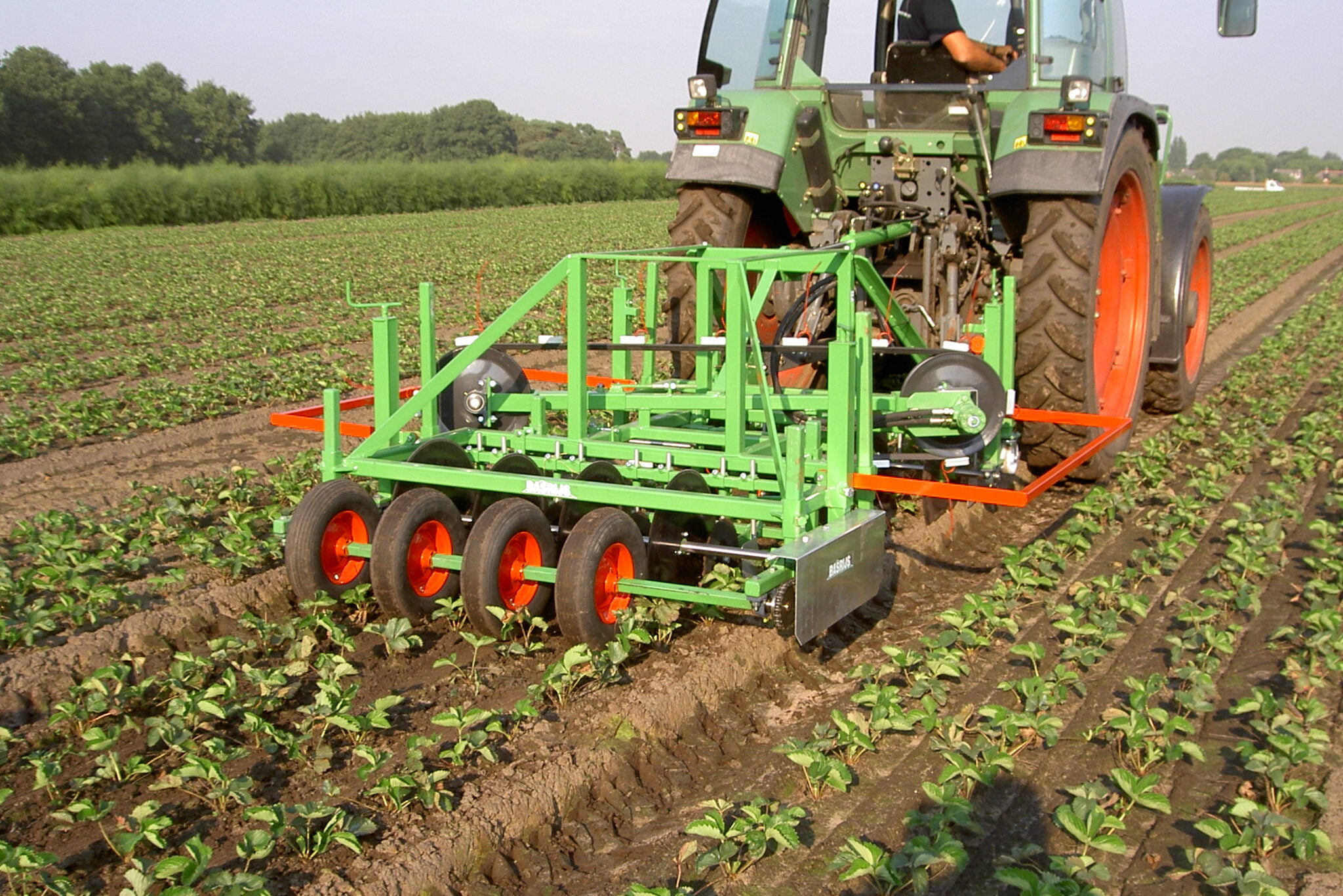 Crop-specific machines Archives - Basrijs